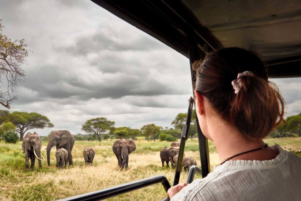 Zanzibar Tours | Best Things To Do & Excursions