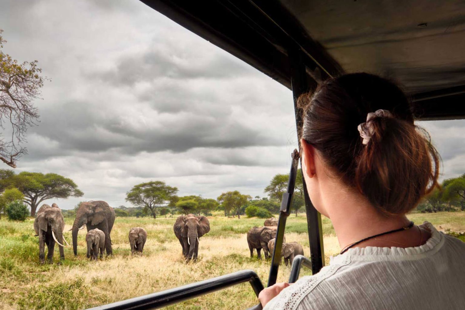 Best Zanzibar Tours & Safaris 2025 | GoSmart Zanzibar Tours