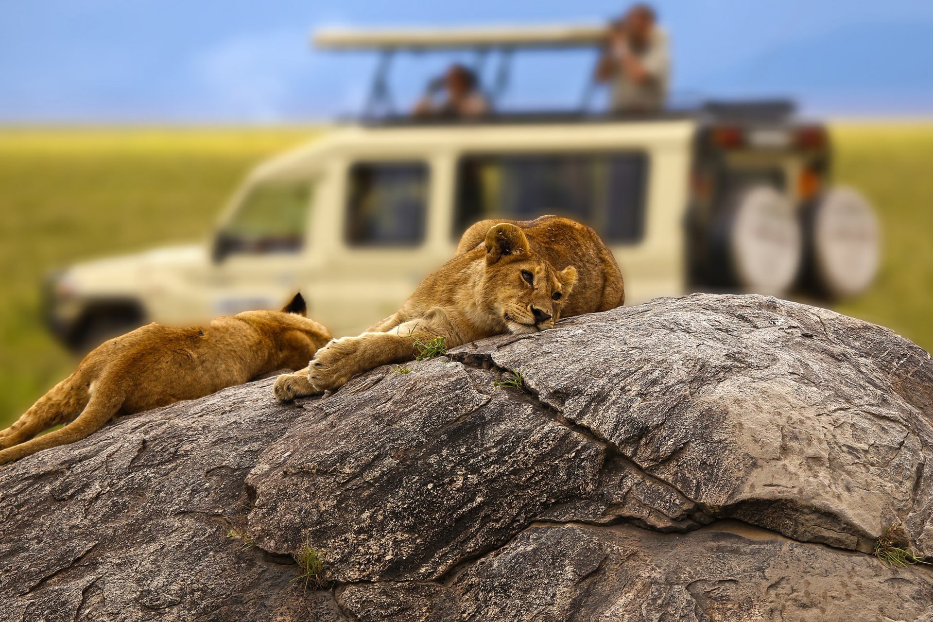 2 Days Selous Safari From Zanzibar | Book Now