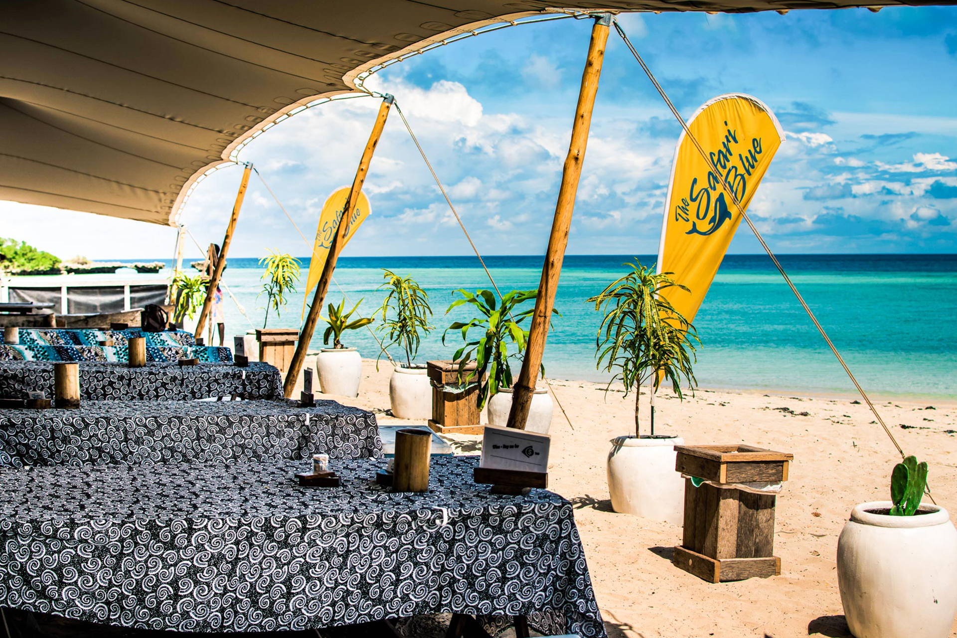 Safari Blue Zanzibar | Day Trip | Book Now