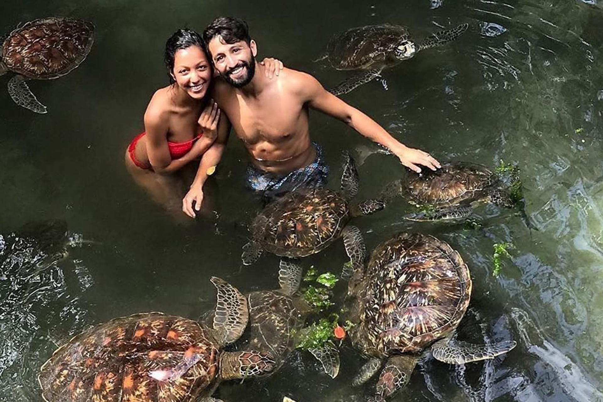 Swimming With Turtles In Zanzibar | Book Tour