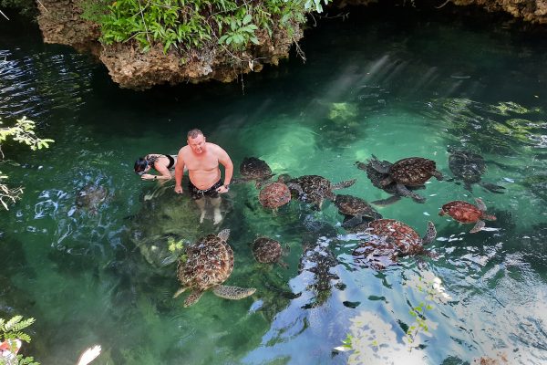 Swimming With Turtles In Zanzibar | Book Tour