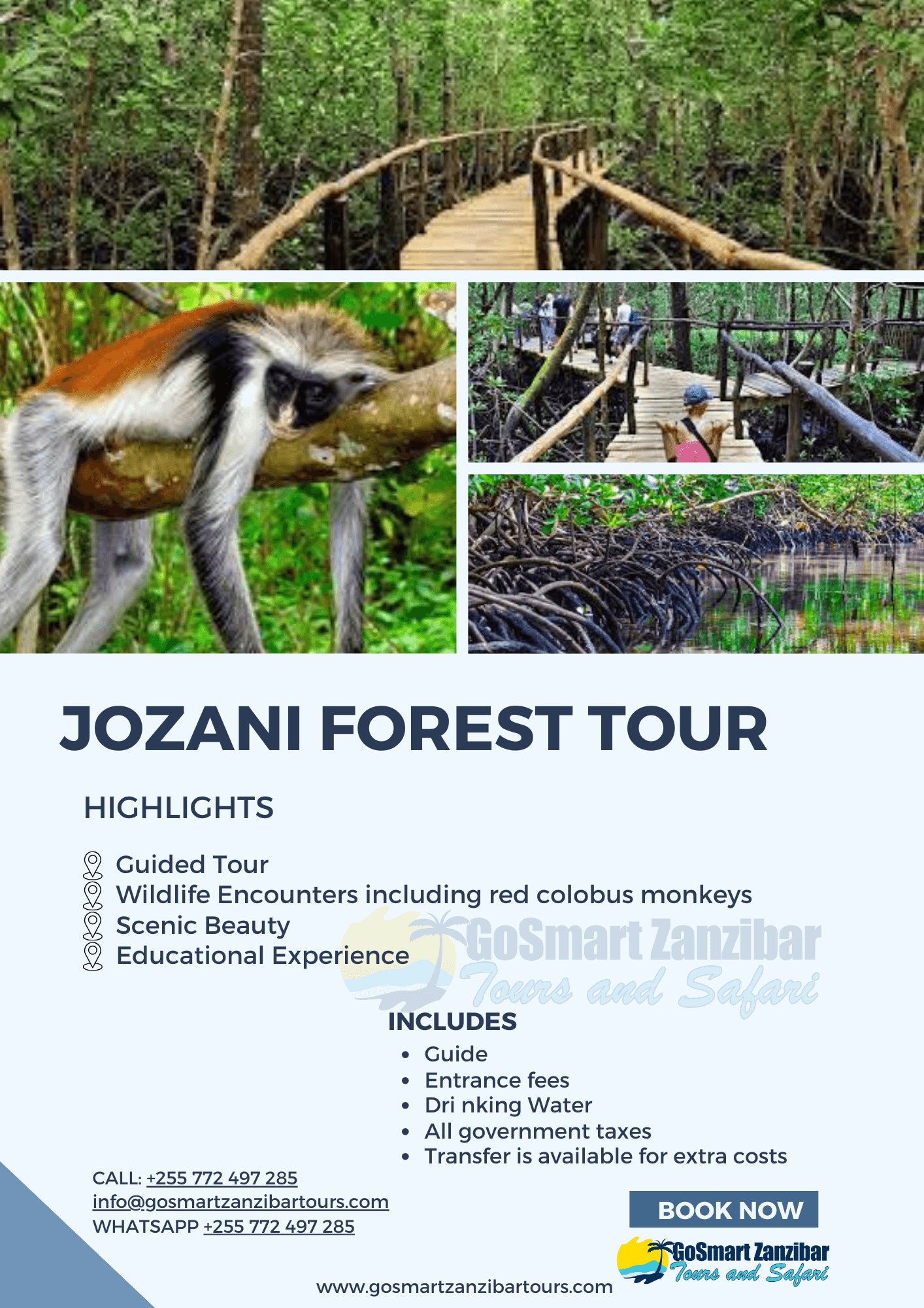 Jozani Forest Tour Zanzibar | Half-Day Wildlife & Mangroves Experience