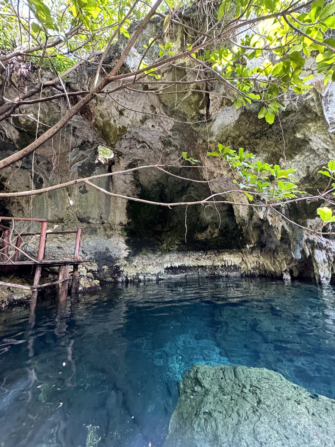 Cave Swimming Zanzibar | Book Tour