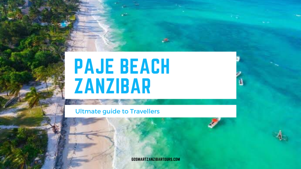 Paje Beach Zanzibar | Ultimate Guide To Travellers
